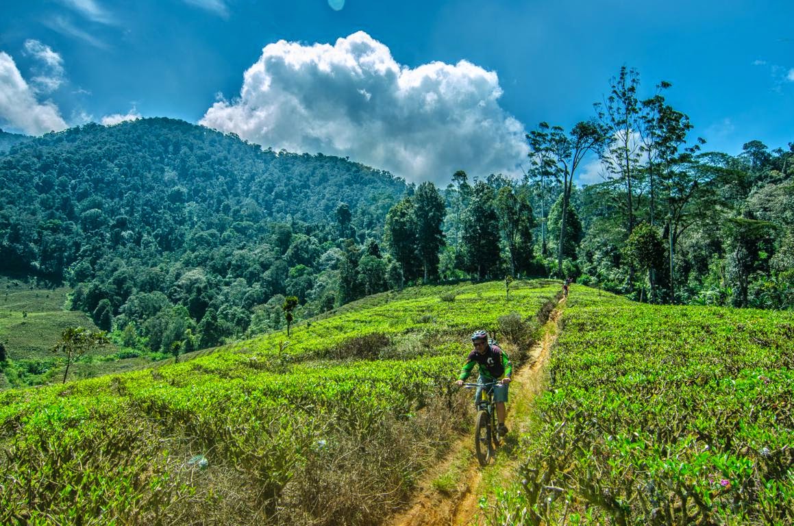 Batu Belang Pangalengan - Dewata - Hutan Gunung Maud - Selap Awi, Garut ...