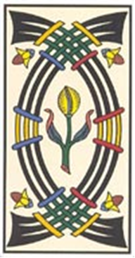 Tarôt - Oráculo Milenar: Arcano 60 - Evolução - 5 de Espadas