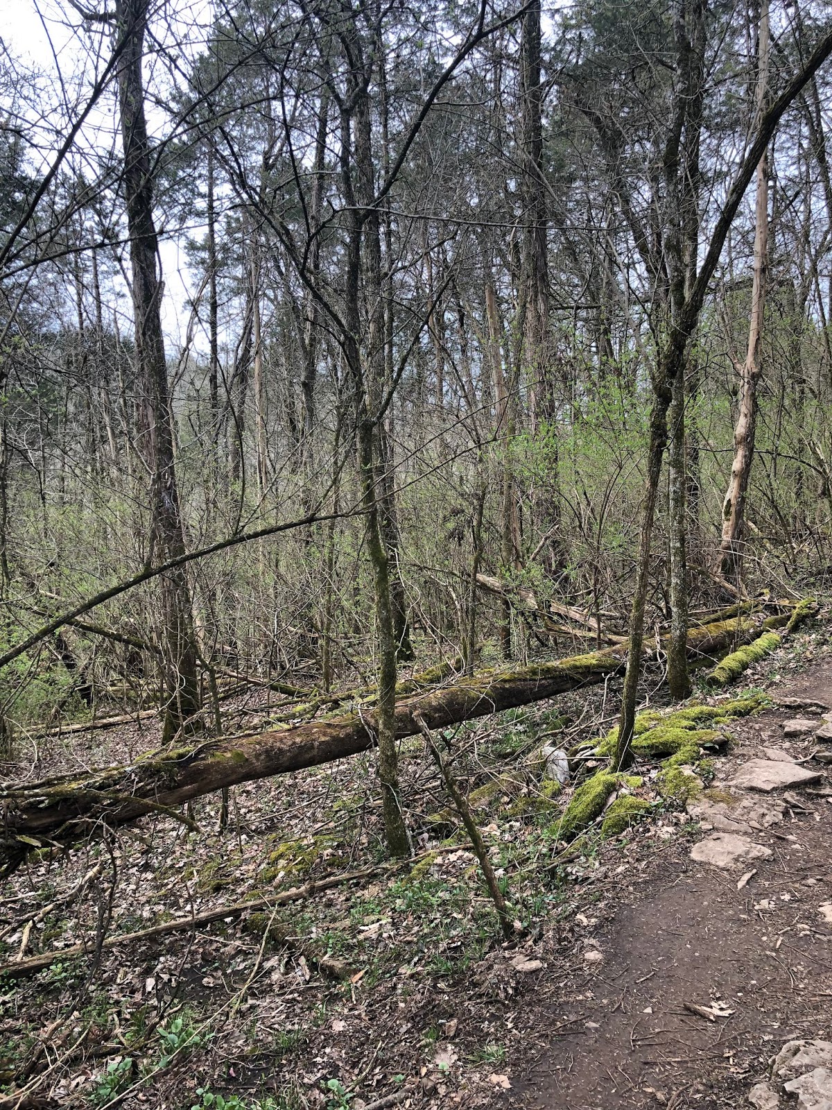 A Little Time and a Keyboard: Hiking to the Kentucky River at Raven Run ...