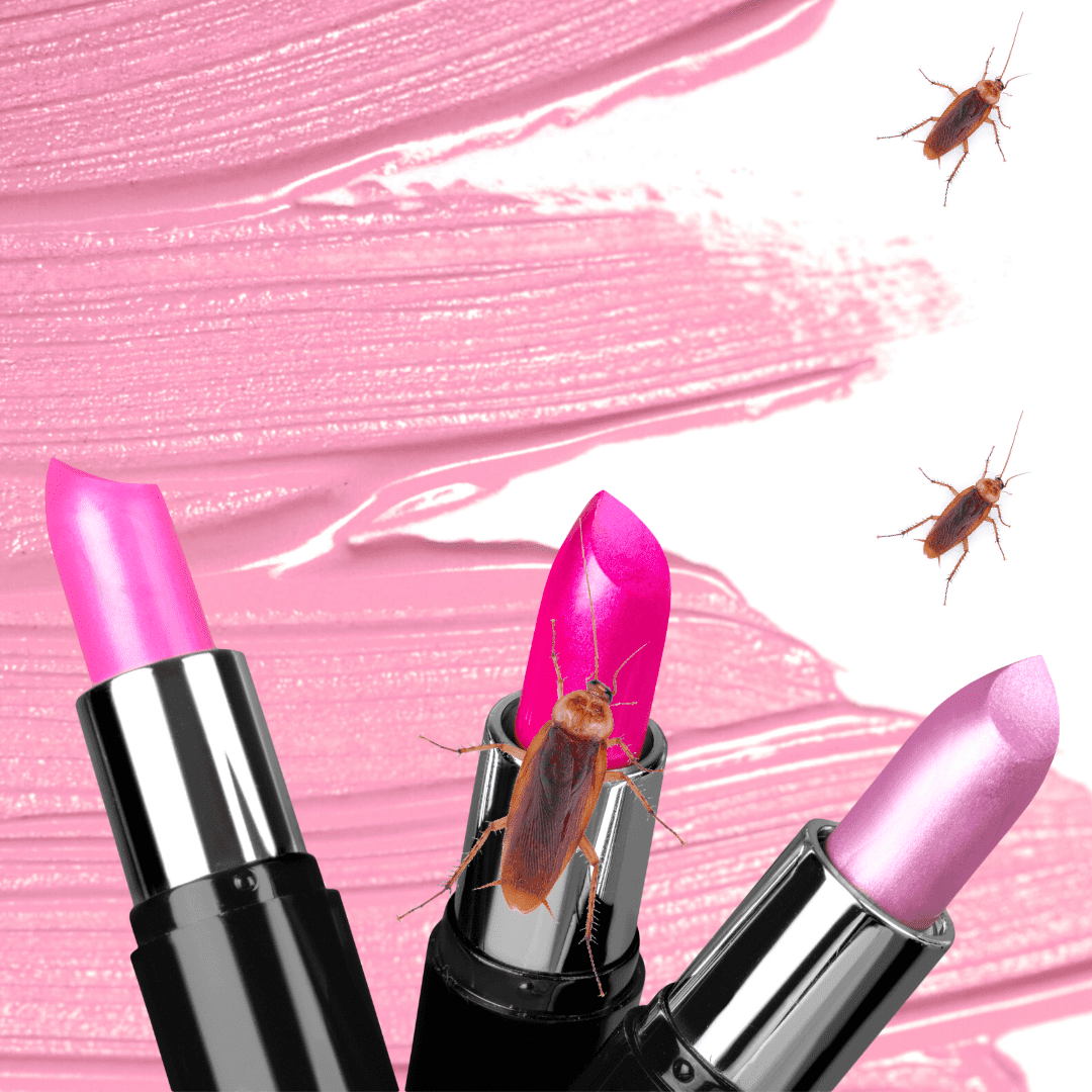 What's In Your Lipstick? | Try Carmine-Free Lipstick | Barbie's Beauty Bits