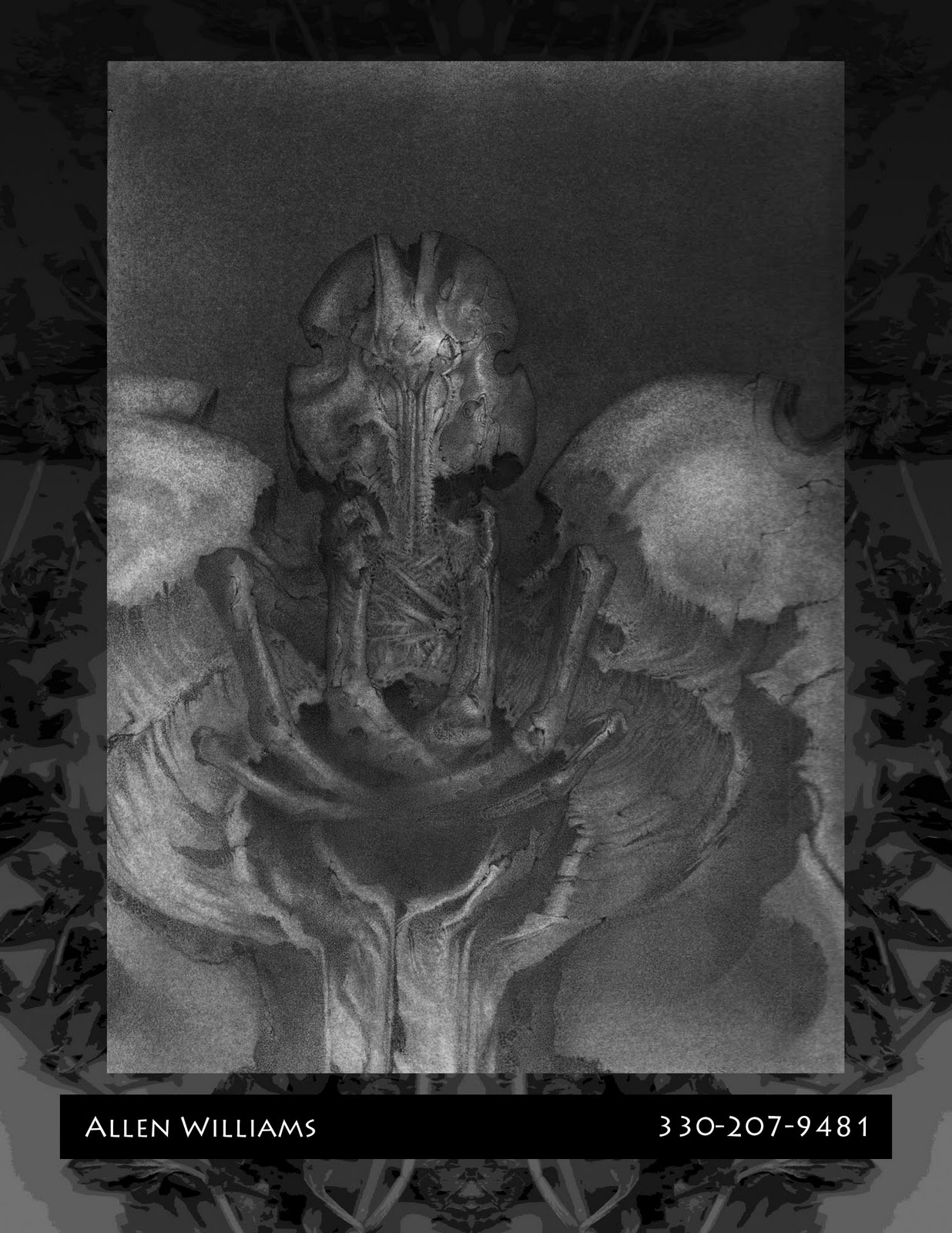 AllenWilliamsConcept