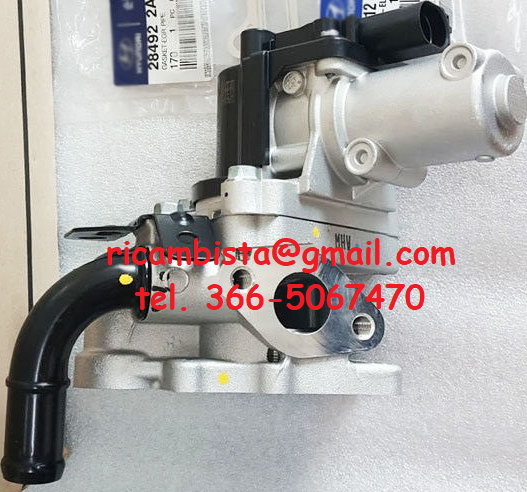 Il Rigeneratore: 284102A850 Valvola EGR Hyundai Tucson