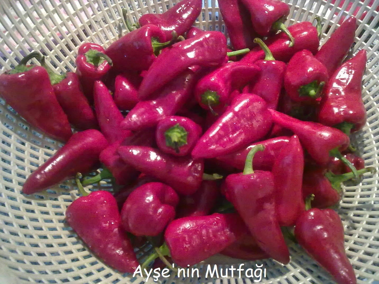 Maras biberi tursusu tarifi-Aci biber tursusu - Yemek yeyin