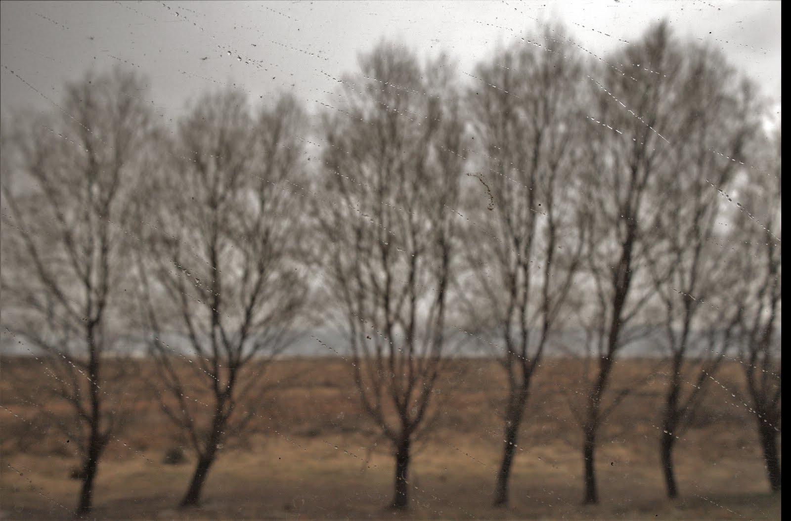 The Moment: Photorail