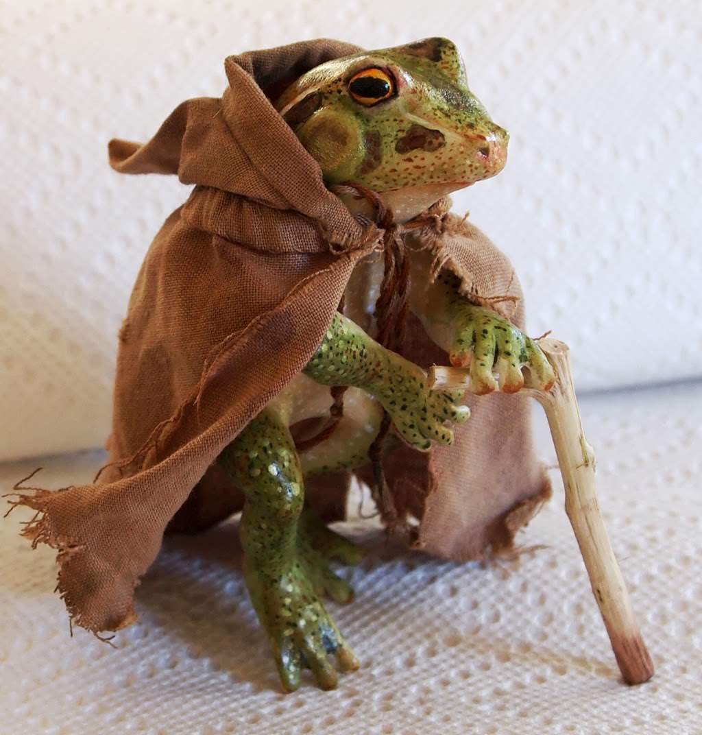 Kaaren's Art and Author Blog: Poor Beggar Frog