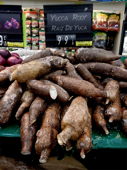 The 99 Cent Chef: June 2008