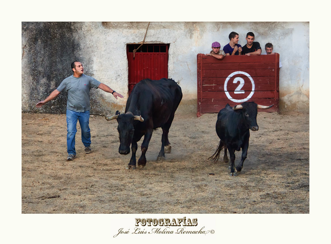 Jose Luis Molina Remacha ©: Deza - Fiestas