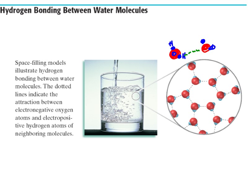Chemistry Honors: Notes on Intermolecular Forces IMF; Continued Working ...