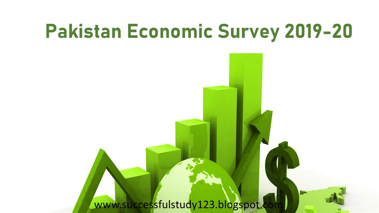 Overview Of The Economy | PAKISTAN ECONOMIC SURVEY 2019-20