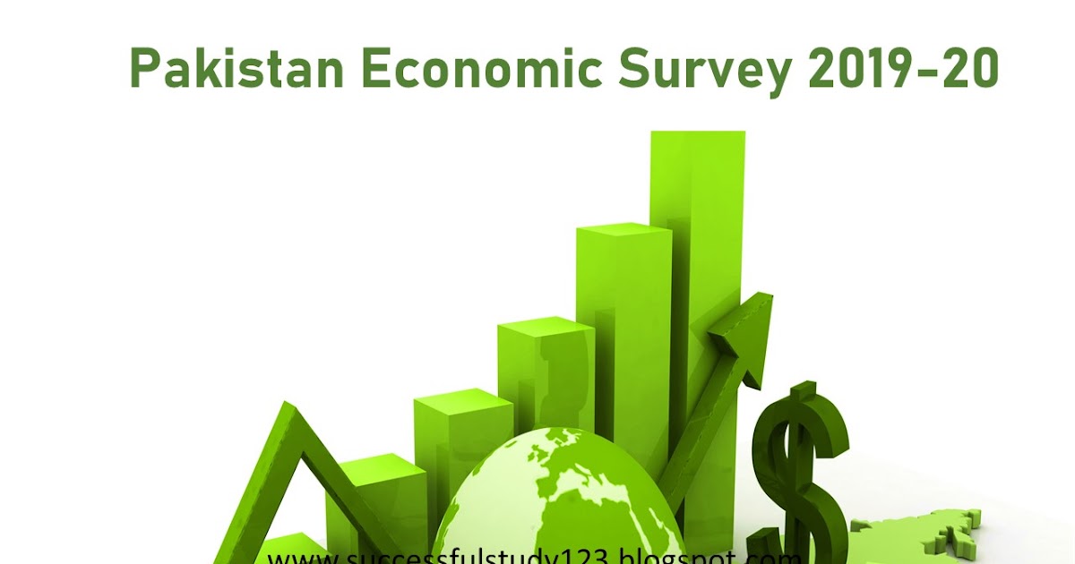 Overview Of The Economy | PAKISTAN ECONOMIC SURVEY 2019-20