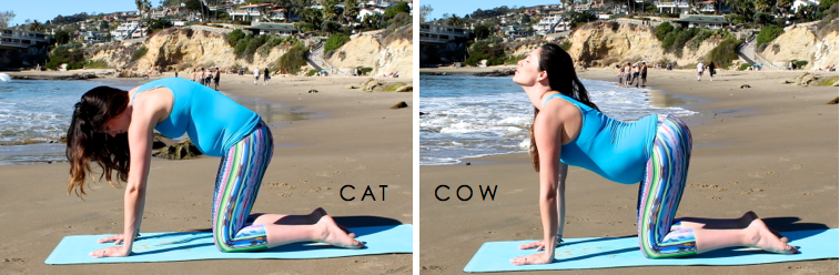 Beach Babe Fitness: Best Stretches for Pregnant Women (and desk workers!)