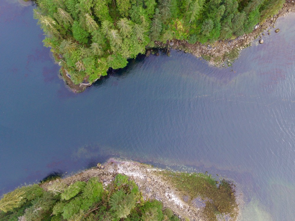 Safe Harbour: Alaska 2016 | Day 94 | Butedale to Kynoch Inlet