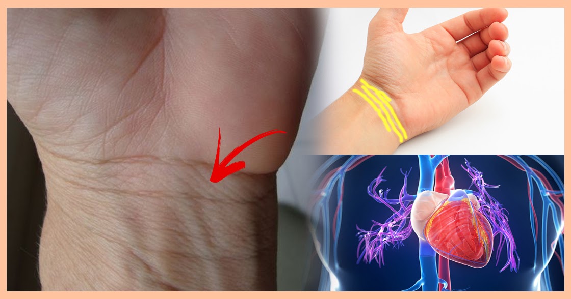 Ever Wondered What The Lines On Your Wrist Mean? Find Out The Real ...