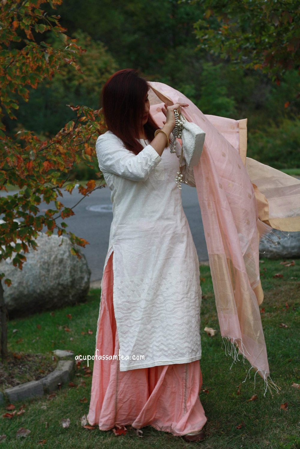 Indian festive look #3