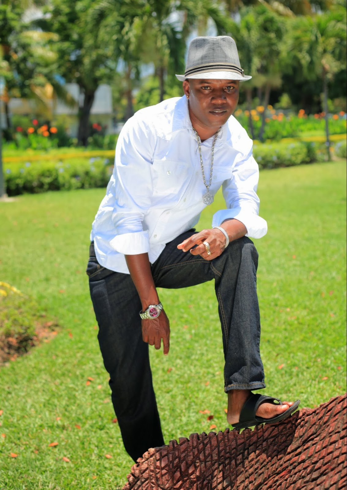 Reggaediscography: TERRY LINEN - DISCOGRAPHY: (Reggae Singer)