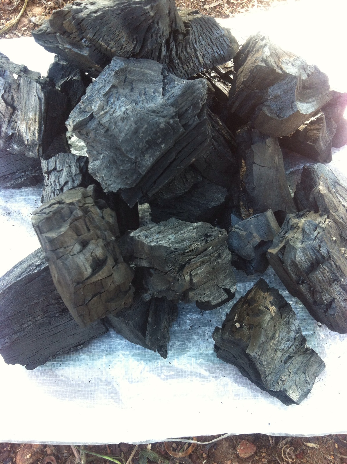 Produsen Arang Kayu Kalimantan: Arang Kayu Alaban