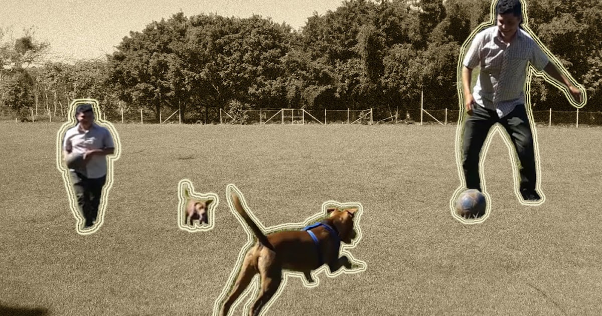 El perro más futbolista del mundo - TE ENCANTARÁ