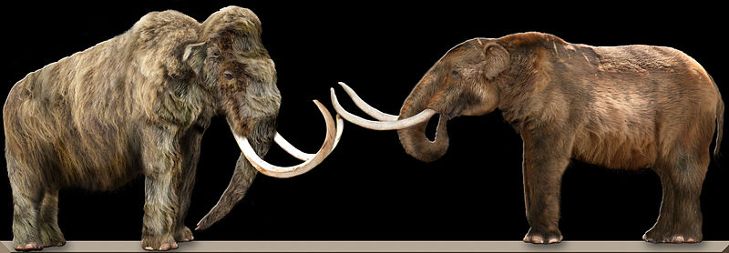 My Michigan: Saline's record-breaking mastodon trail