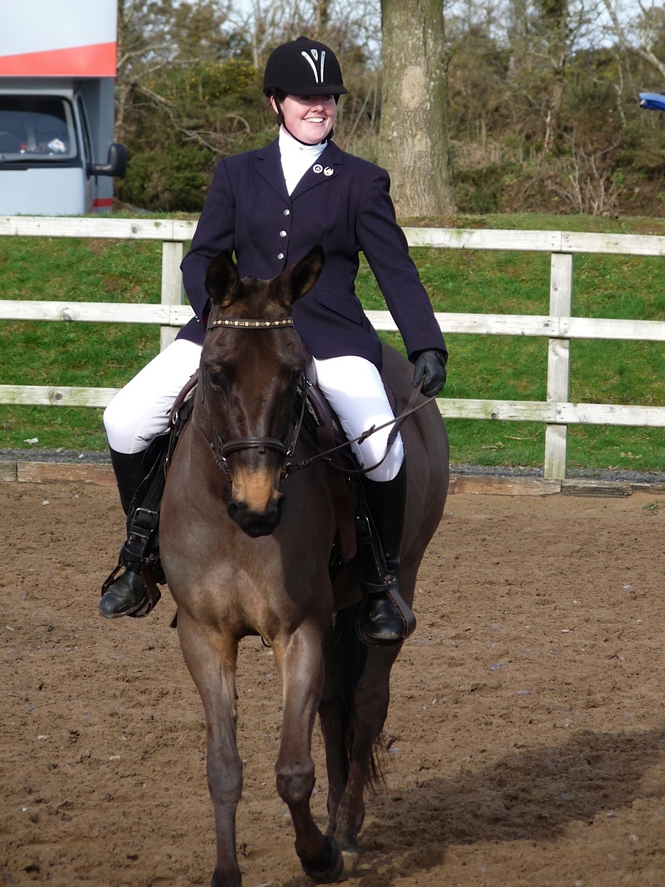 The British Mule Society: What Can Mules Do?