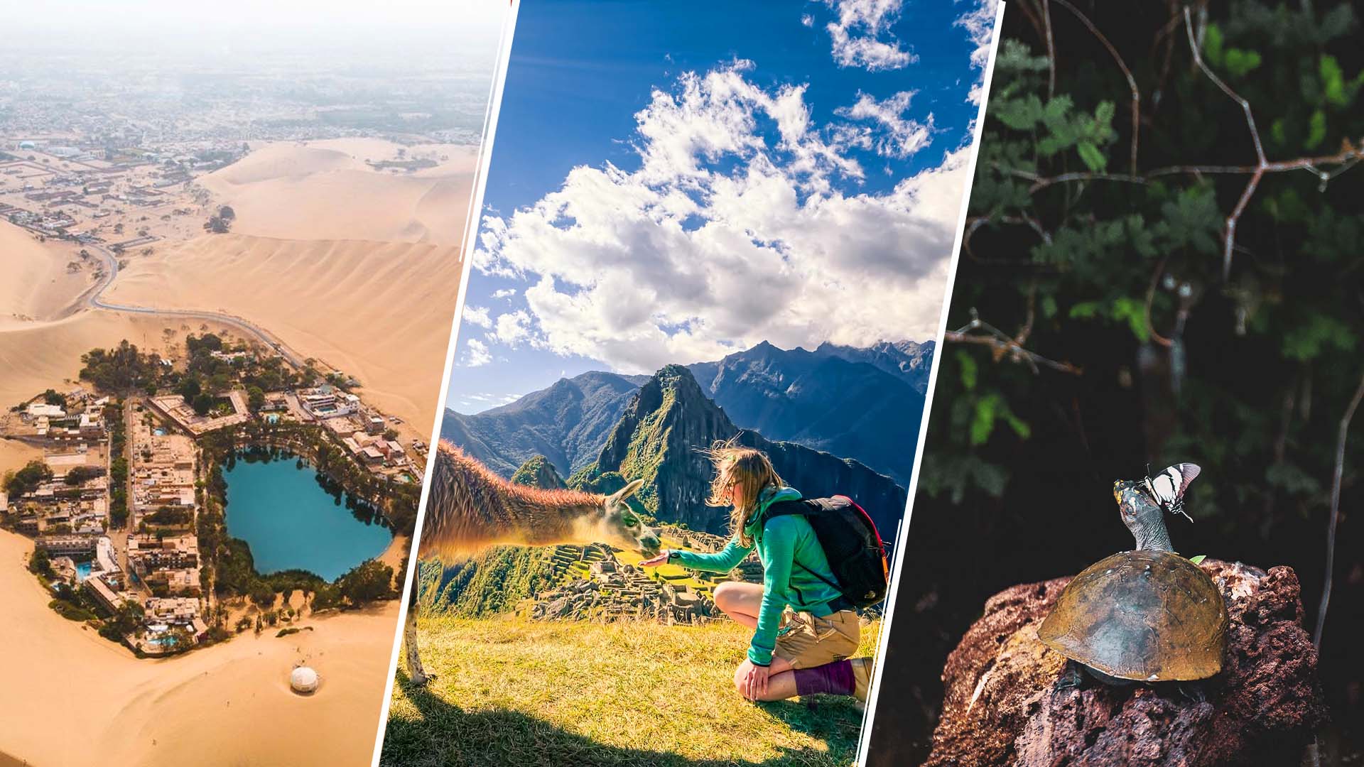 DIVISIÓN GEOGRÁFICA