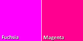 Quelle est la différence entre le fuchsia et le magenta