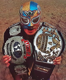 ¿QUIEN ES QUIEN? LUCHA LIBRE