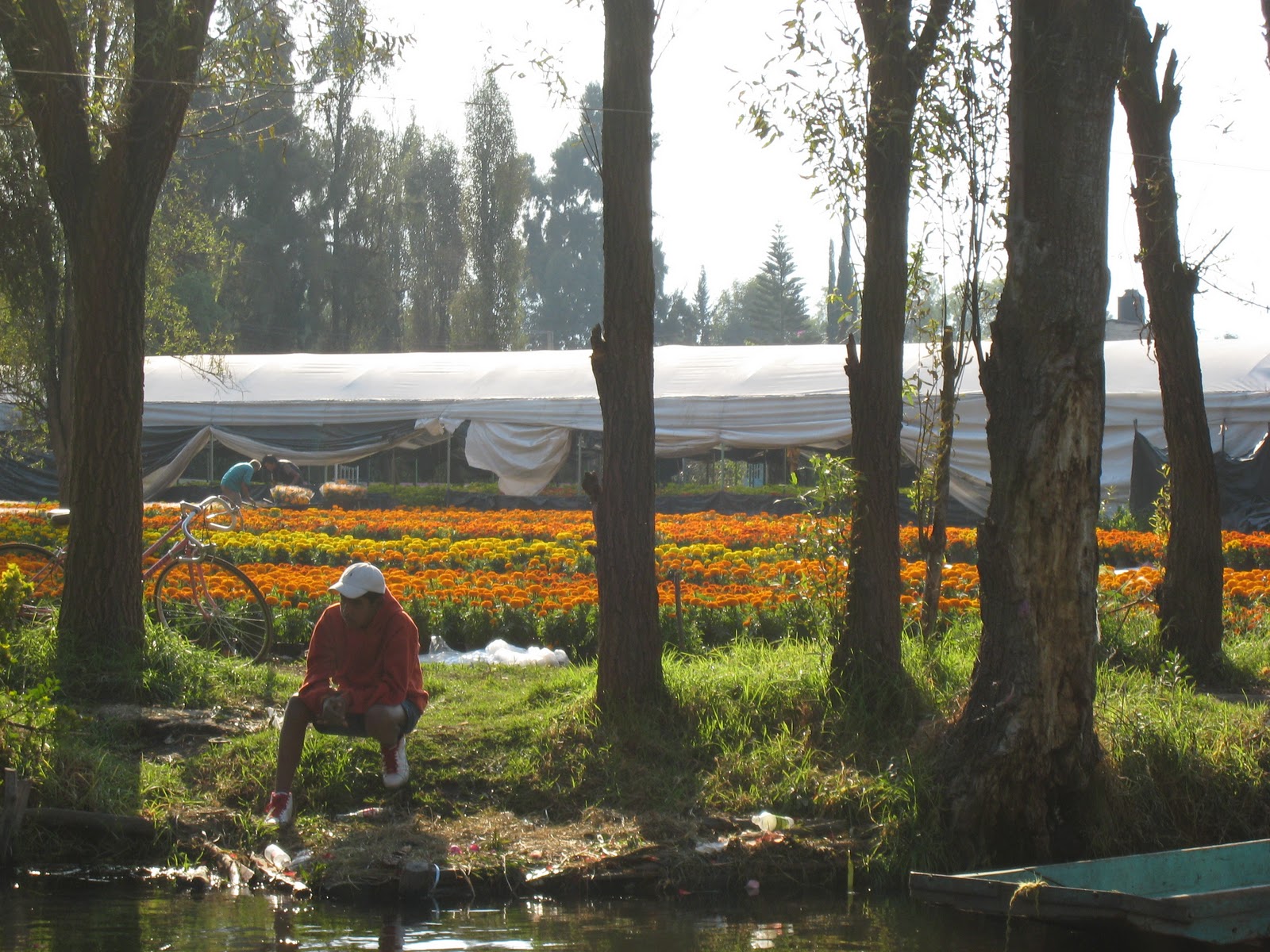ANTROPOLOGÍA EN EL LABERINTO: Pueblos de México - Chinampas de Xochimilco