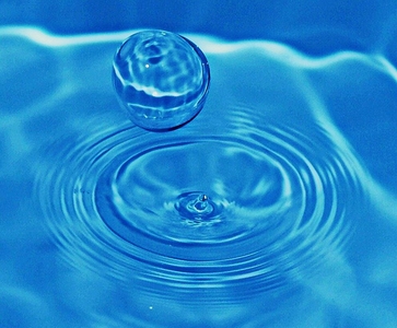 Re Peste: Vita Liquida