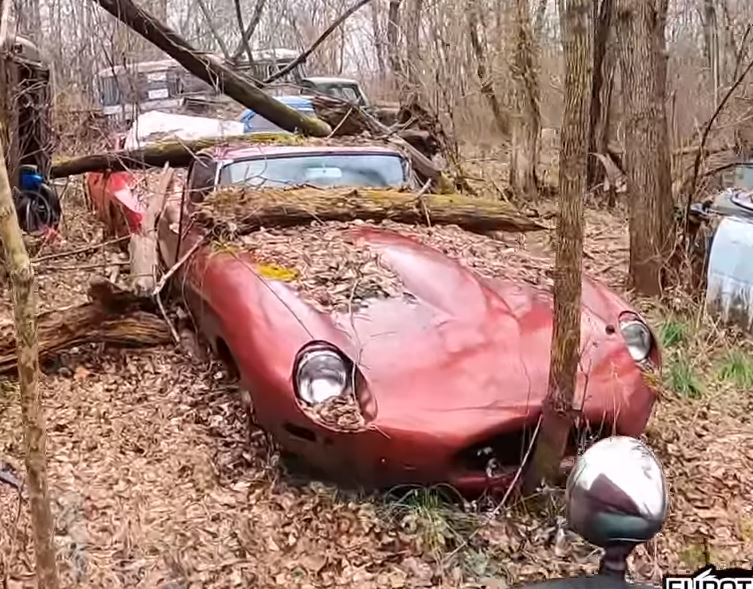 Just A Car Guy: abandoned classic cars rotting away deep in the ...