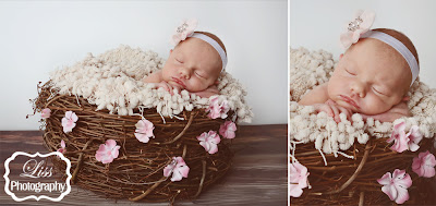 Liss Photography: Spring Baby Girl Utah