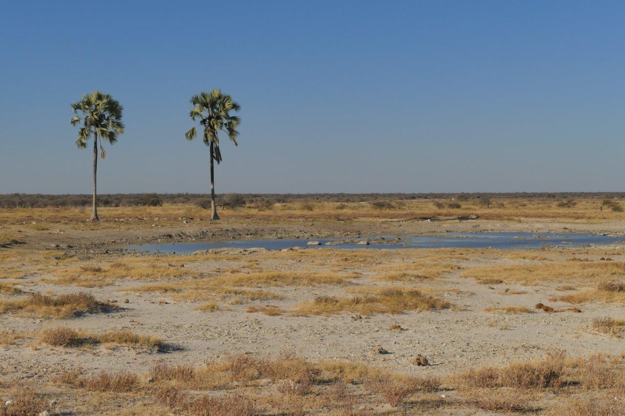 Southern Africa's Ramsar Sites: Etosha Pan (Namibia)