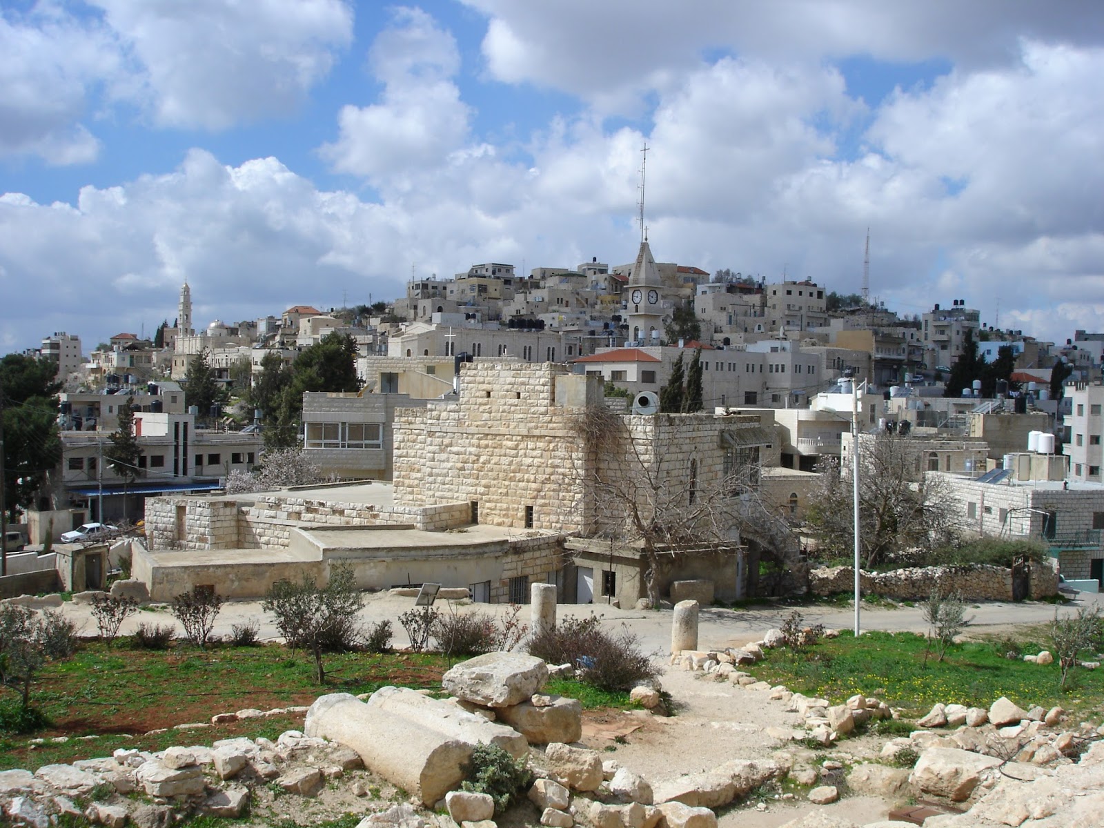 Green Olive Tours-Israel-Palestine-Alternative Tours-Culture-Politics ...