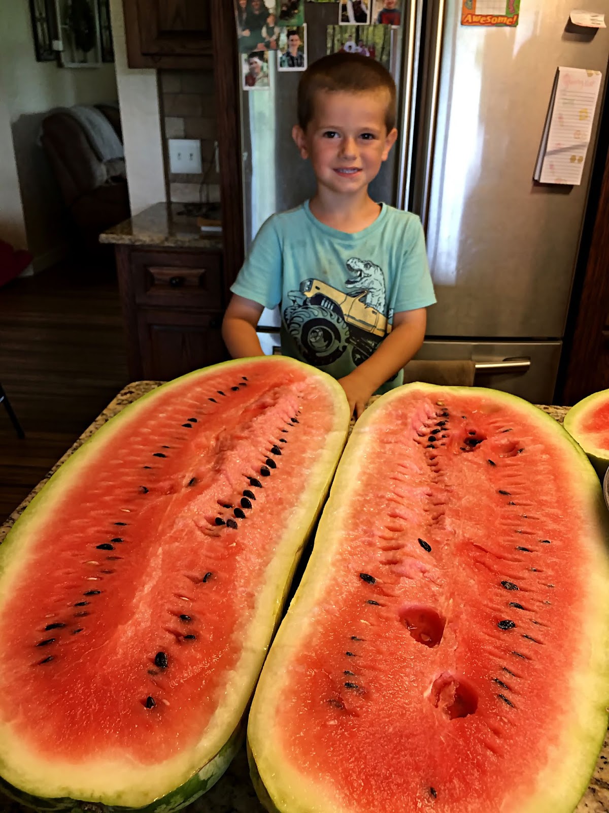 Country Mama To Many: Super-Sized Watermelon