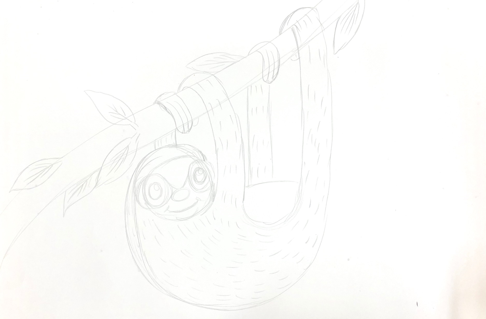 The Lost Sock : Sloth Art