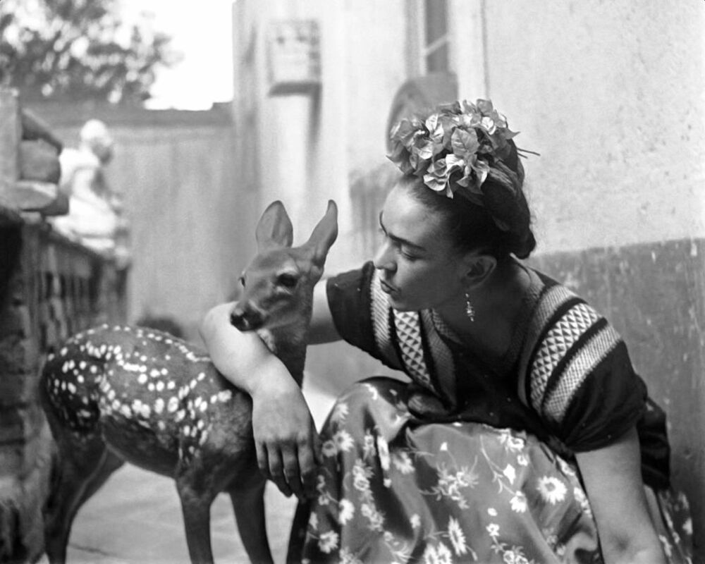 Monkeys, Dogs and Deer: Vintage Portraits of Frida Kahlo Posing With ...