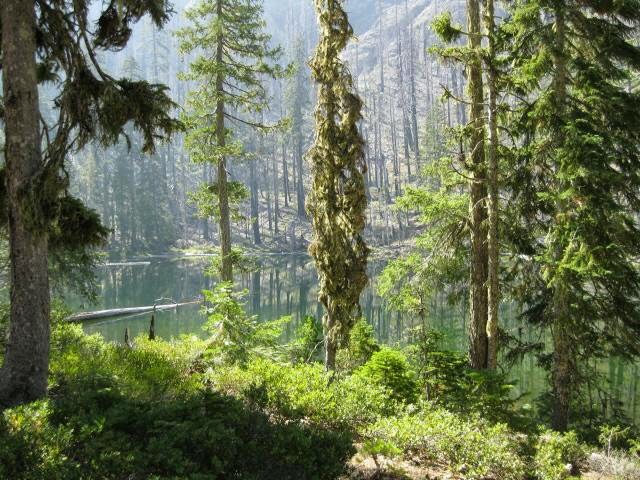 Hiking Sasquatch Country: Lake Selmac