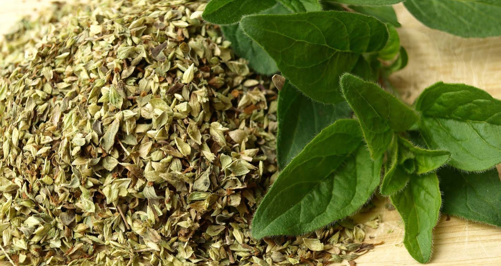 Culinary Physics Best Dried Herbs How To Use Herbs In Cooking culinary-physics-best-dried-herbs-how-to-use-herbs-in-cooking
