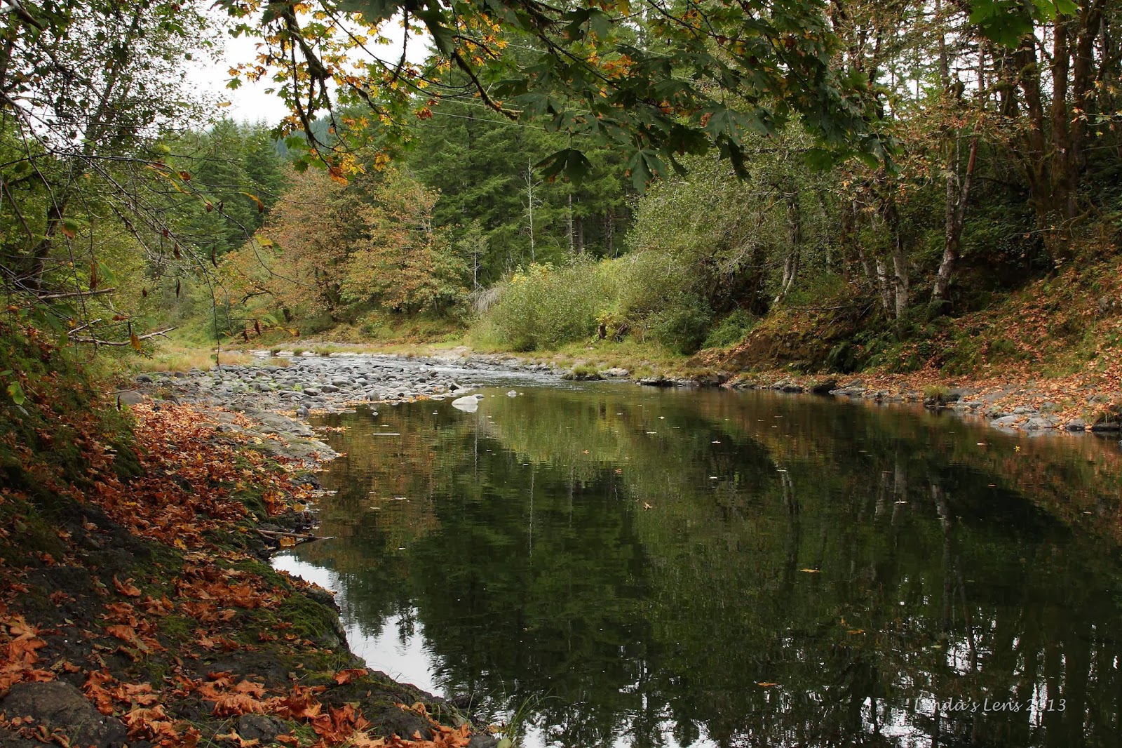 Linda's Lens: Along the Wilson River