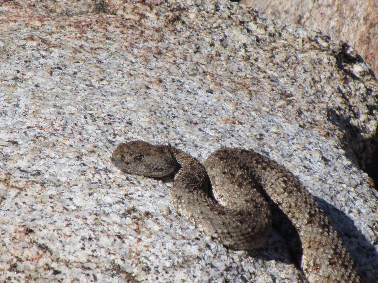 Iron Hiker: Eagle Crag