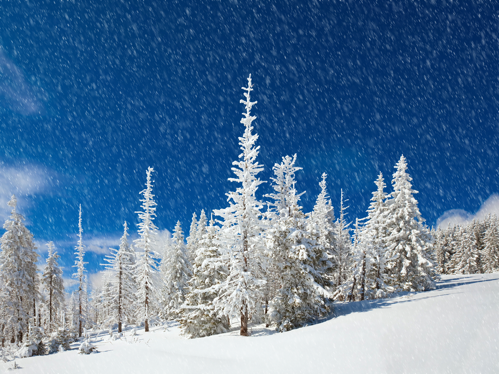 Photoshop Unique Design: snow effect