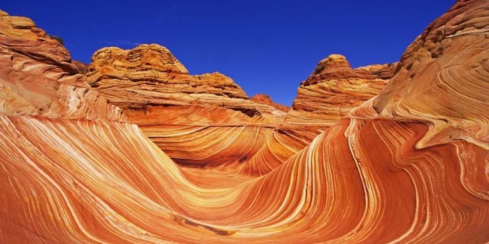 20 Optical Illusions of Nature | uaPics - Interesting, Fun, Funny ...