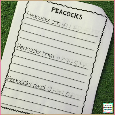 Research And Writing In Kindergarten: Zoo Animals! | Smedley's ...