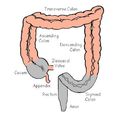 Healthy Living Lifestyle Products: ENEMA'S