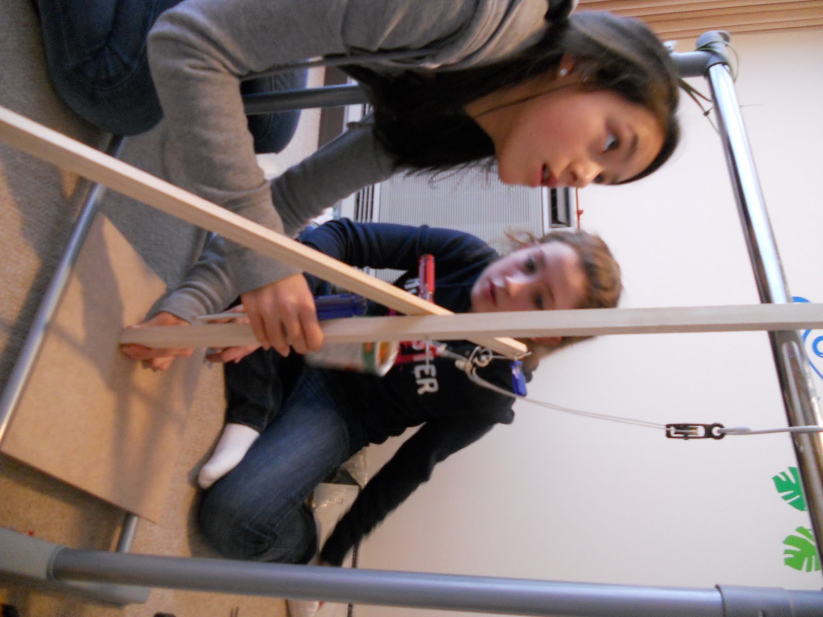 Nifty Lifting Machine