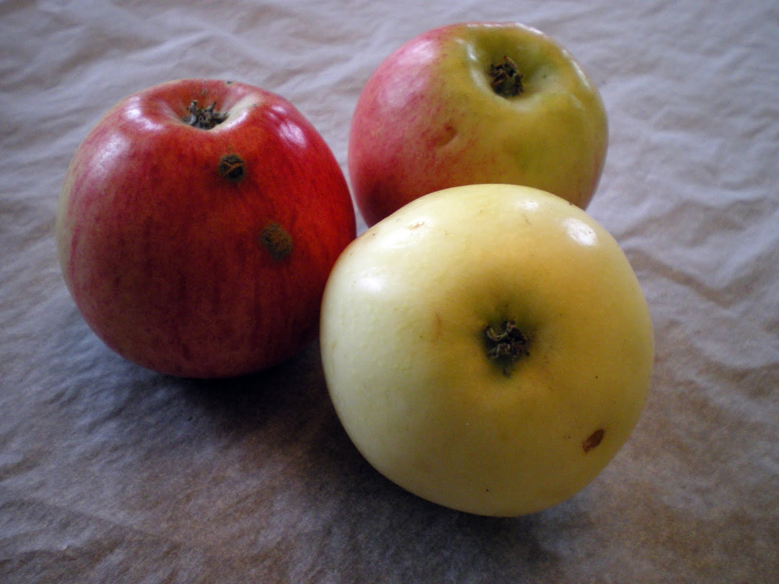 Bake.with.Love: Obuolys