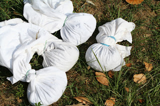 Brooding On: Rabbit Poop Tea