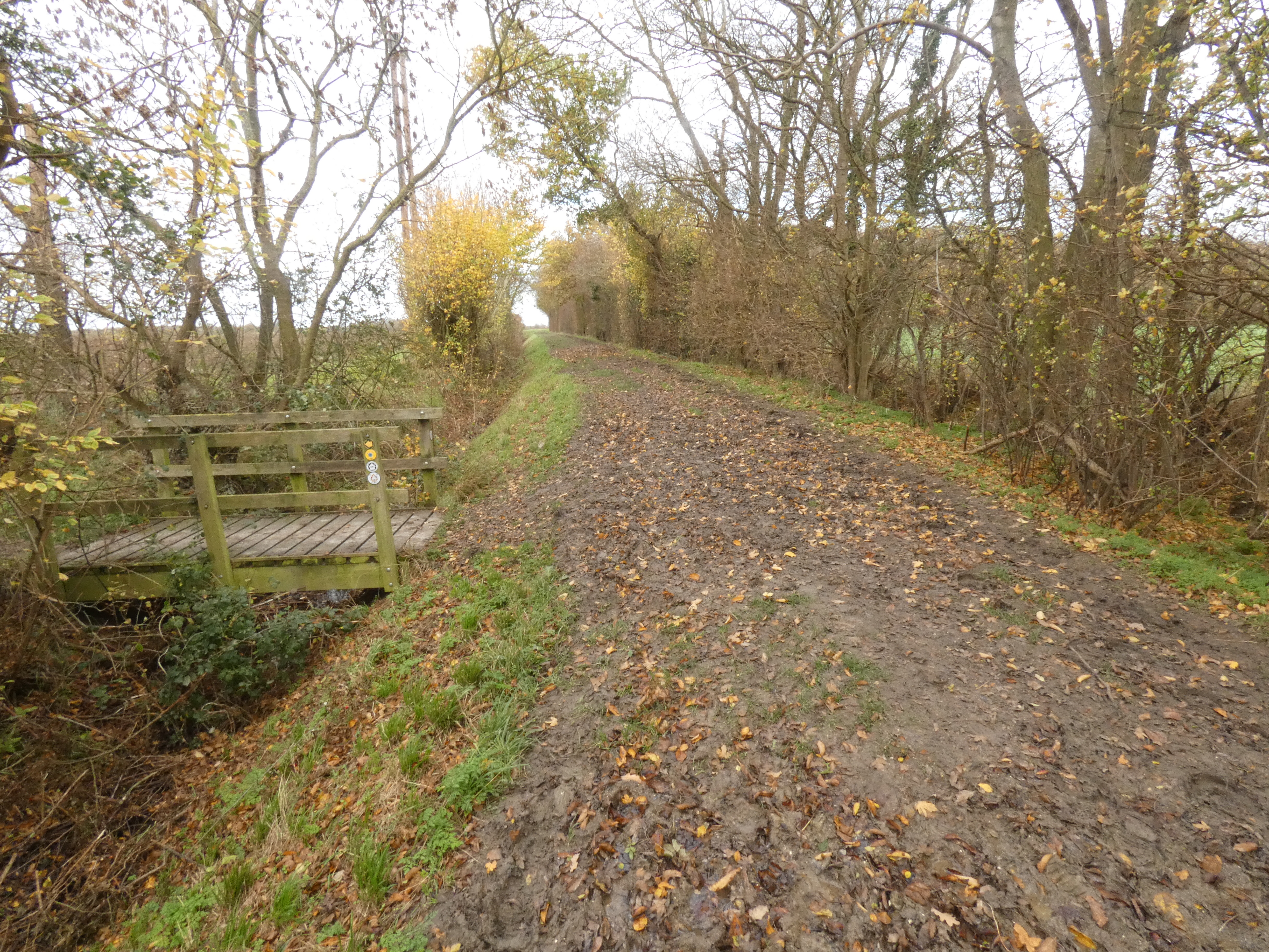 Boz North's Trail - Walking Blog: Whaddon to Cambridge via The Wimpole ...