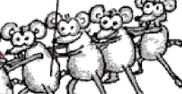 Mr. Cantor's AP Psychology Blog: Conga rats! You did it!!!