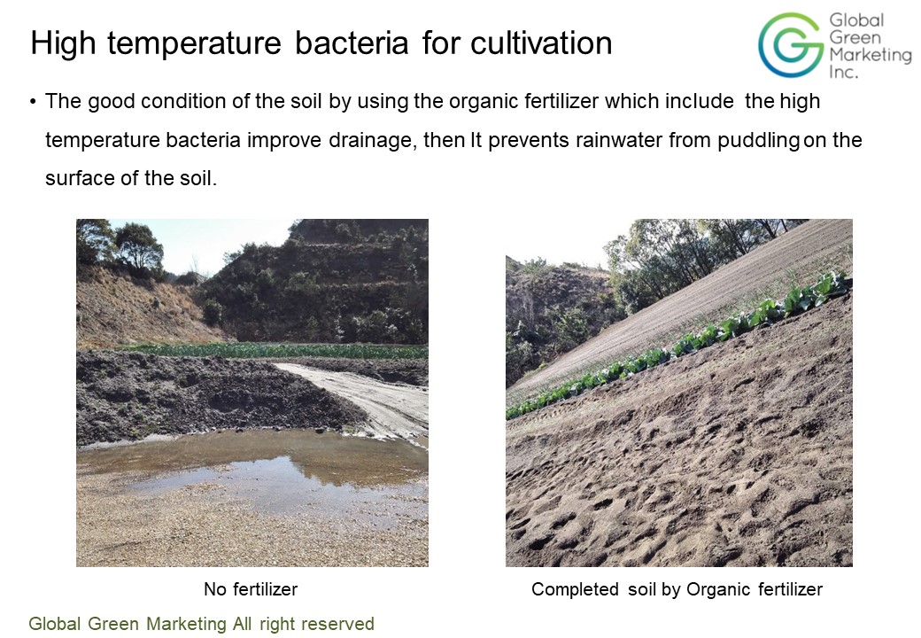 Green Technology Japan: Good soil based cultivation by using High ...