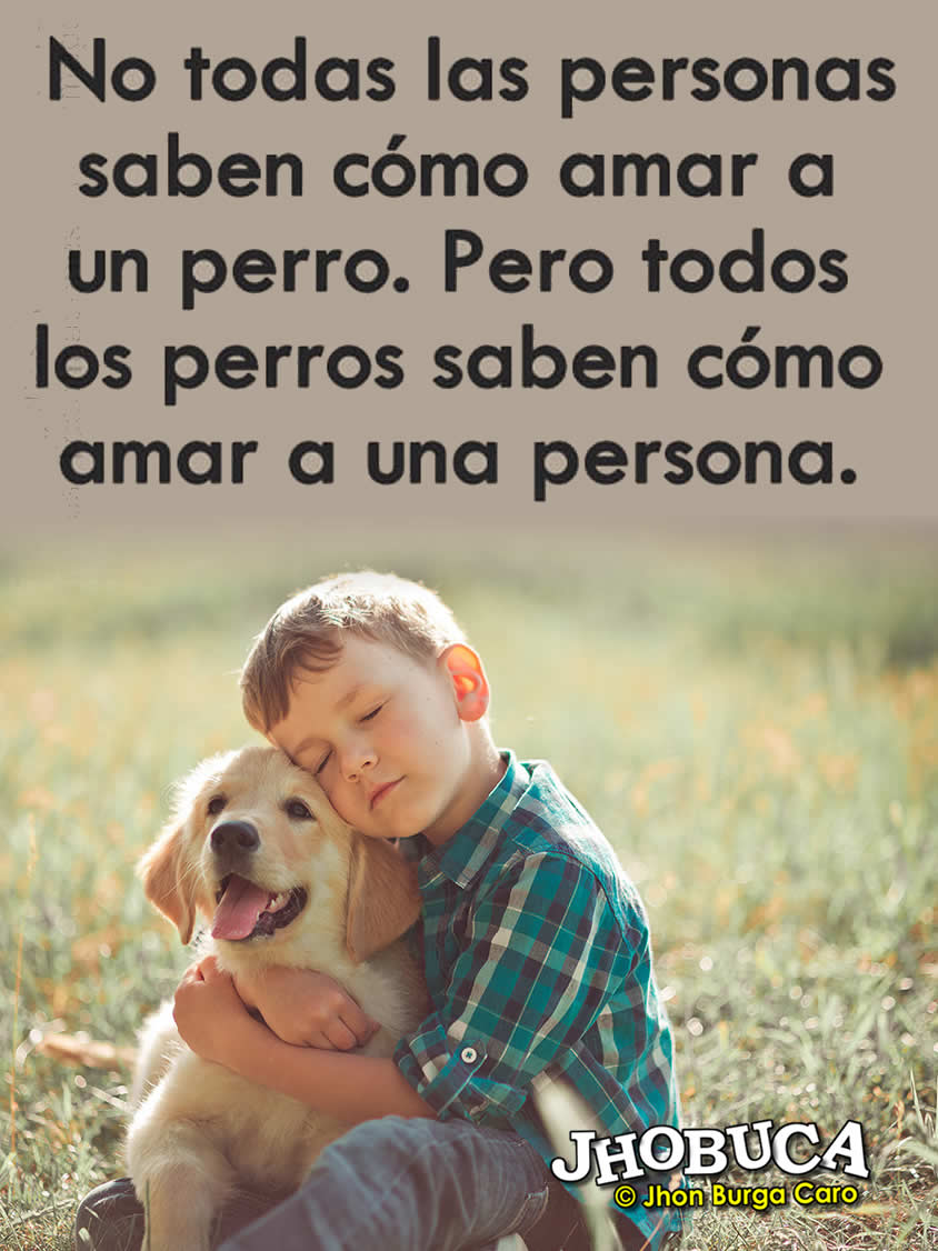 Bonitas tarjetas y frases tiernas, para dedicar a tu amor en Facebook ...